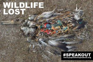 14 Shocking Images showing Impact of Human activities on Earth